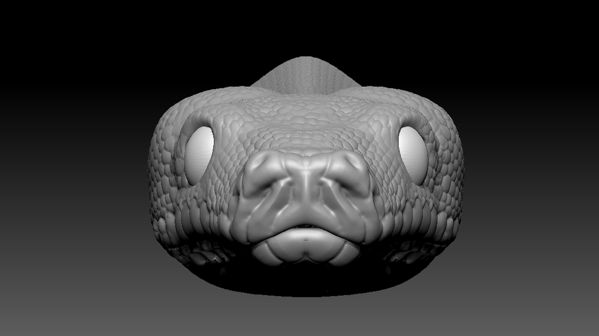 Python Zbrush Model 3D Model - TurboSquid 2365400