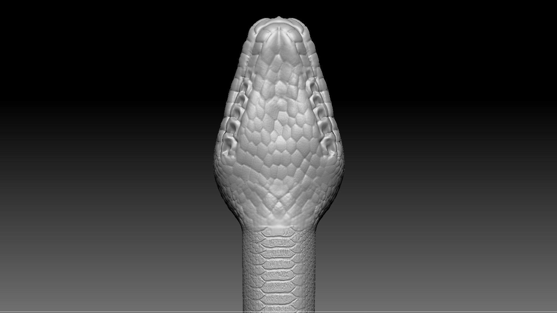 Python Zbrush Model 3D Model - TurboSquid 2365400