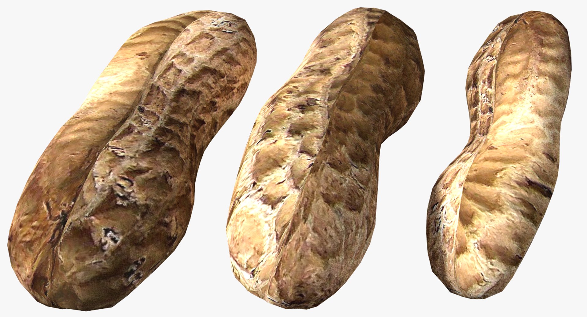 3d Photo Realistic Roasted Peanut