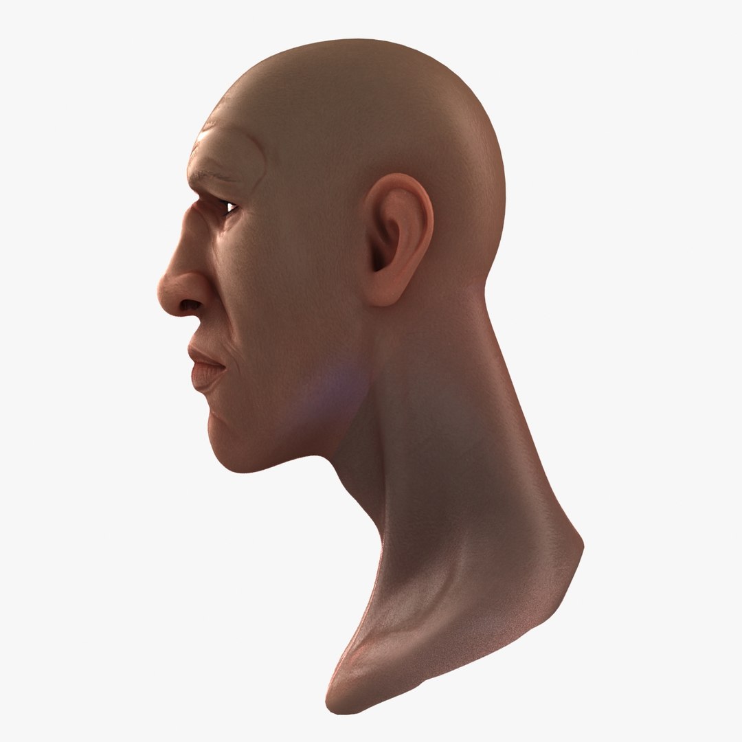 3D Male Head Model - TurboSquid 1386205