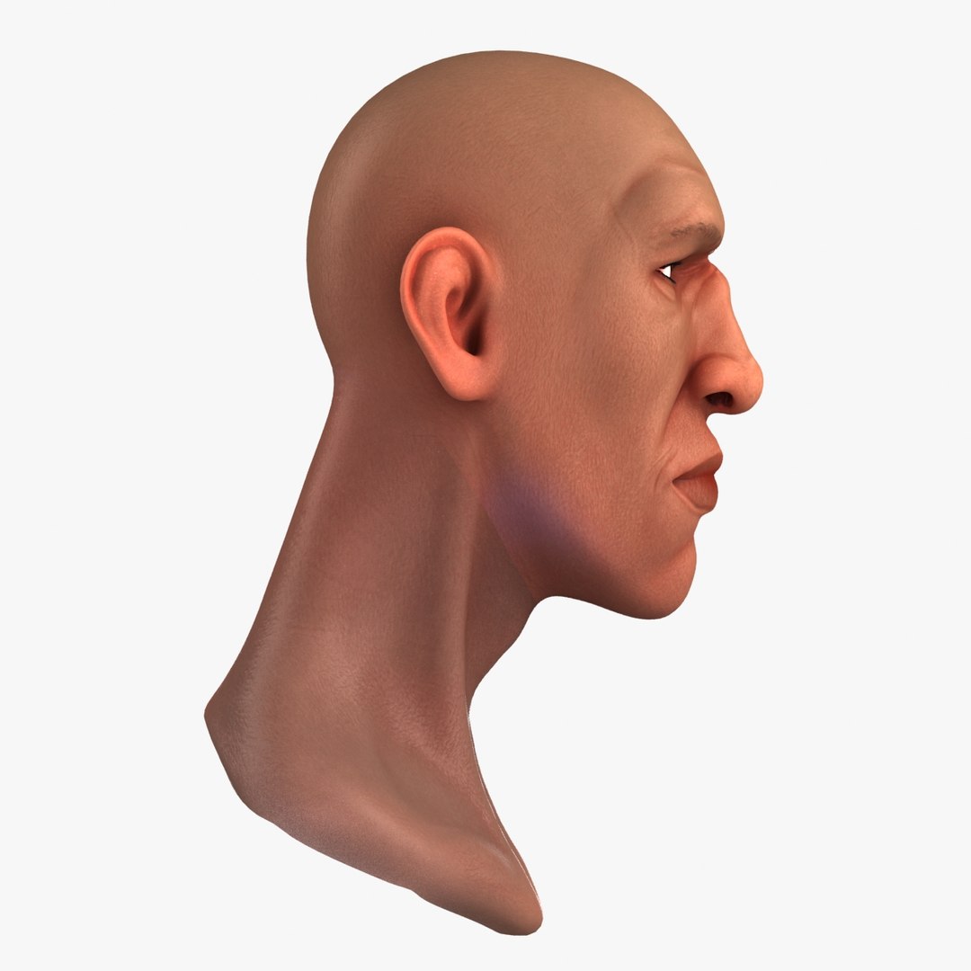 3D Male Head Model - TurboSquid 1386205