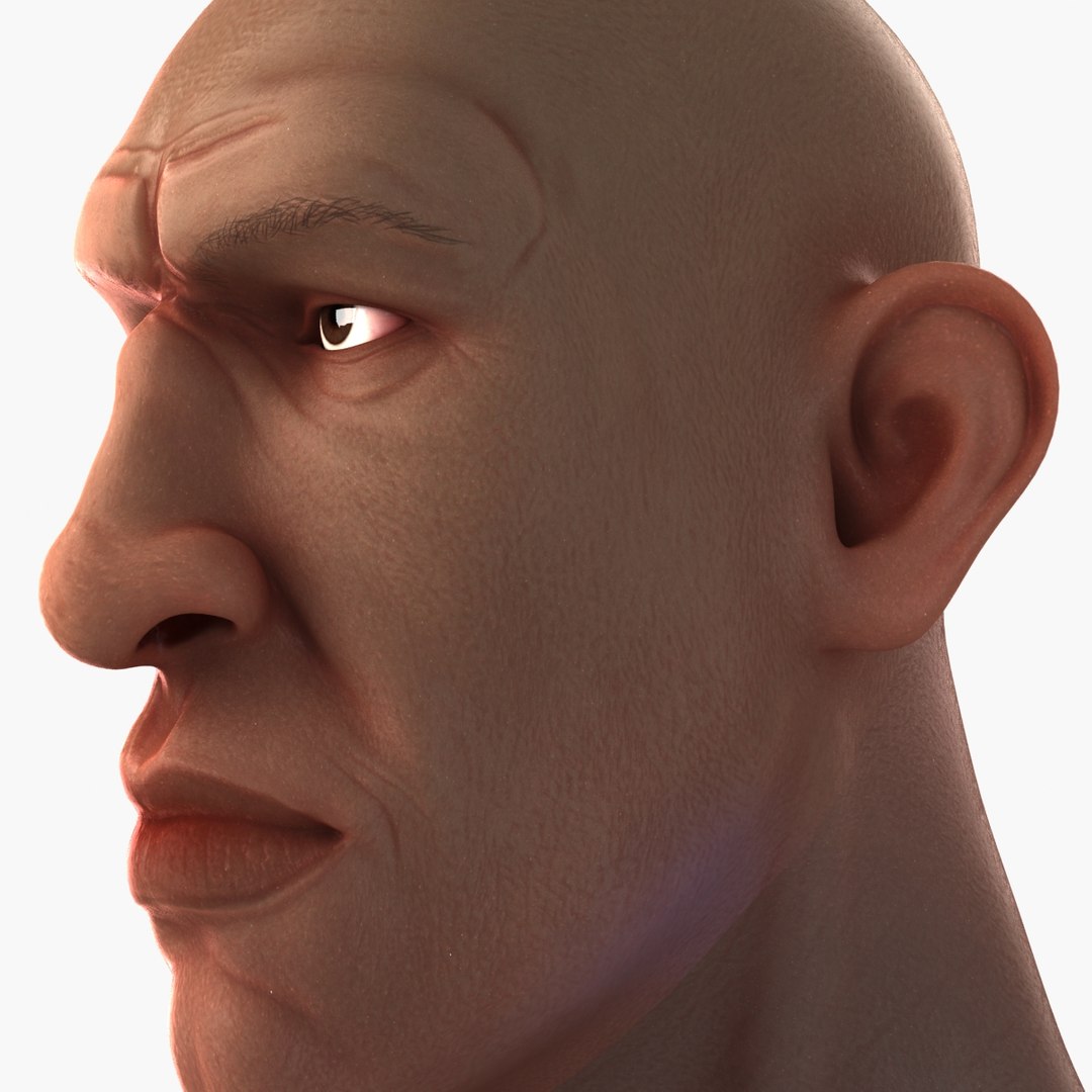 3D Male Head Model - TurboSquid 1386205