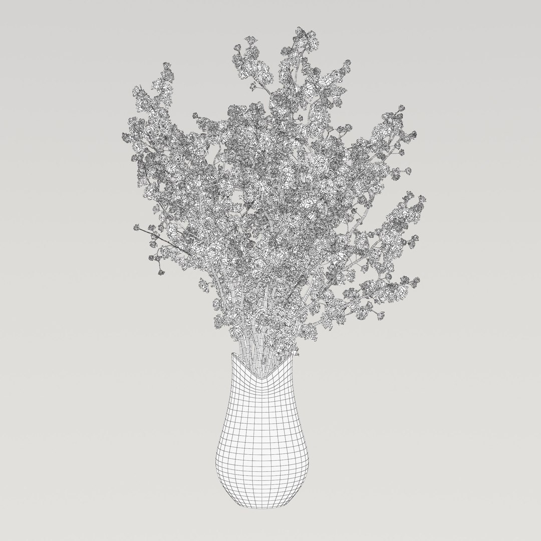 3D Model Vaze - TurboSquid 1150546