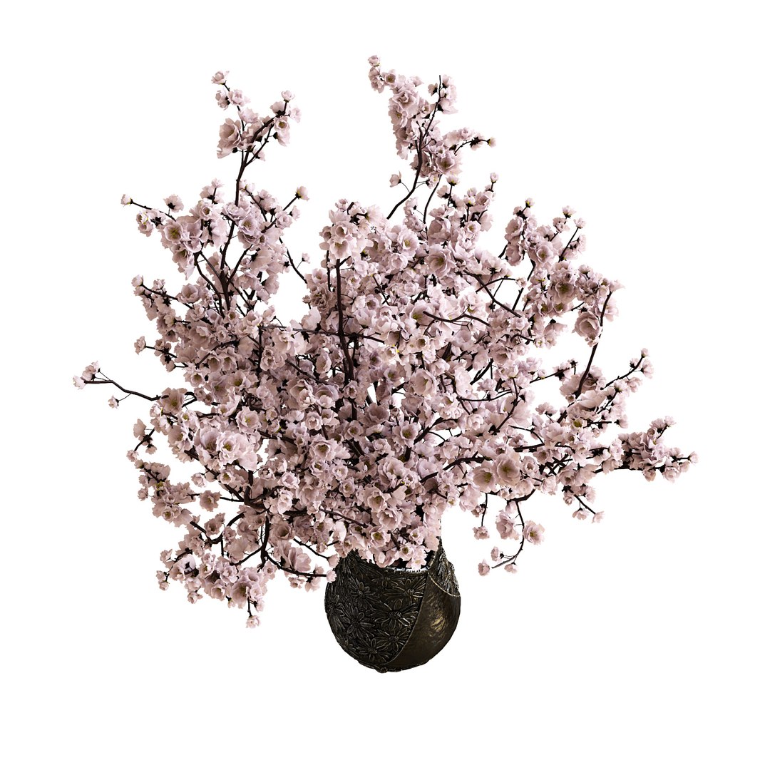 3D Model Vaze - TurboSquid 1150546