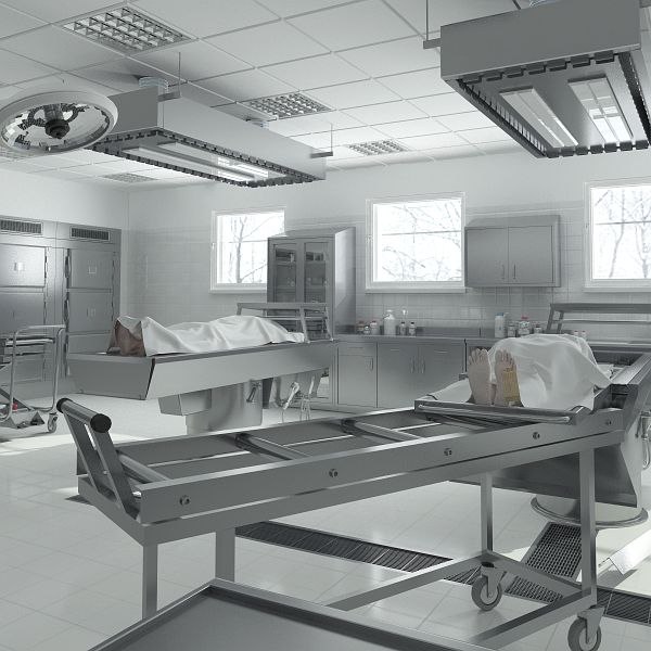 anatomy autopsy laboratory equipment 3d model
