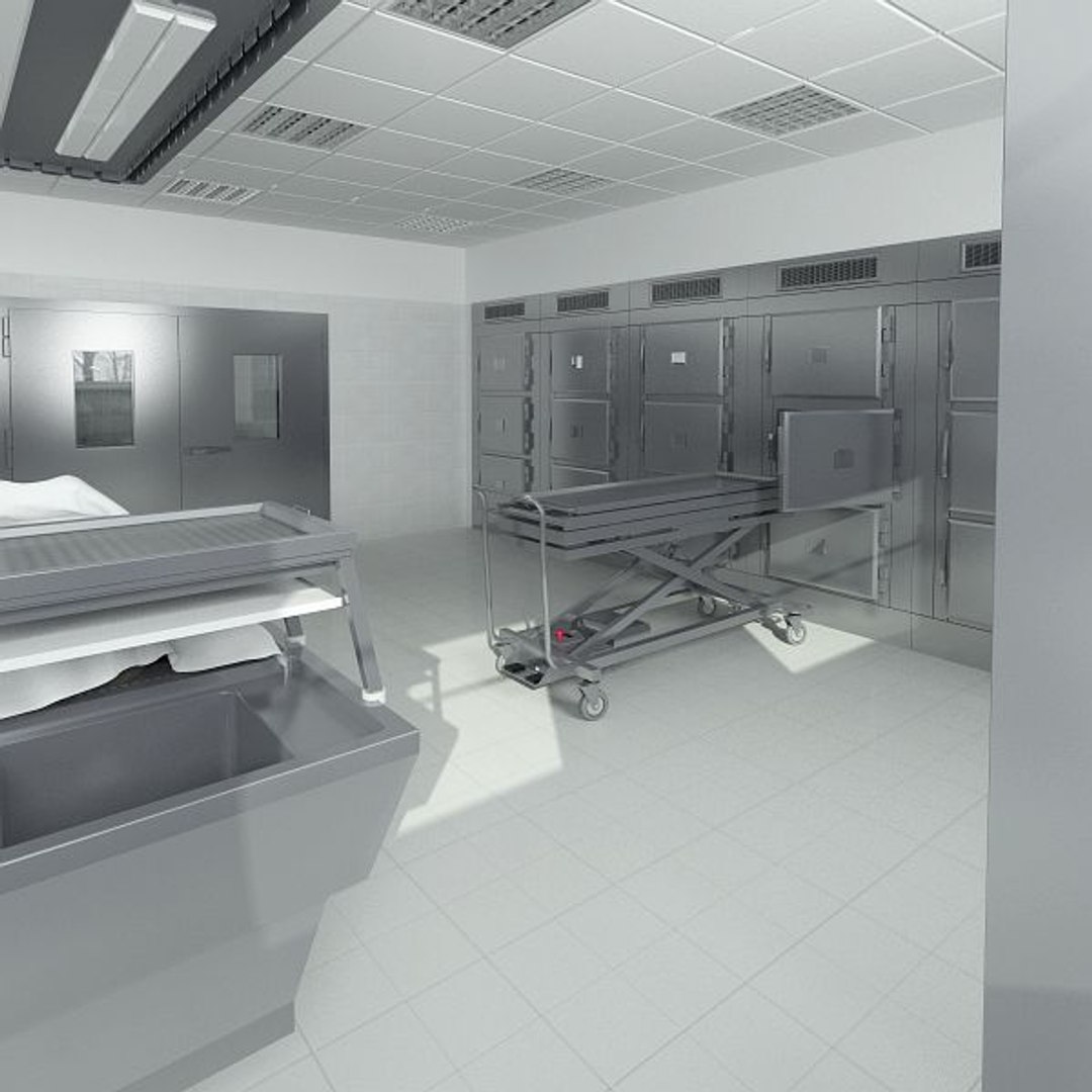Anatomy Autopsy Laboratory Equipment 3d Model