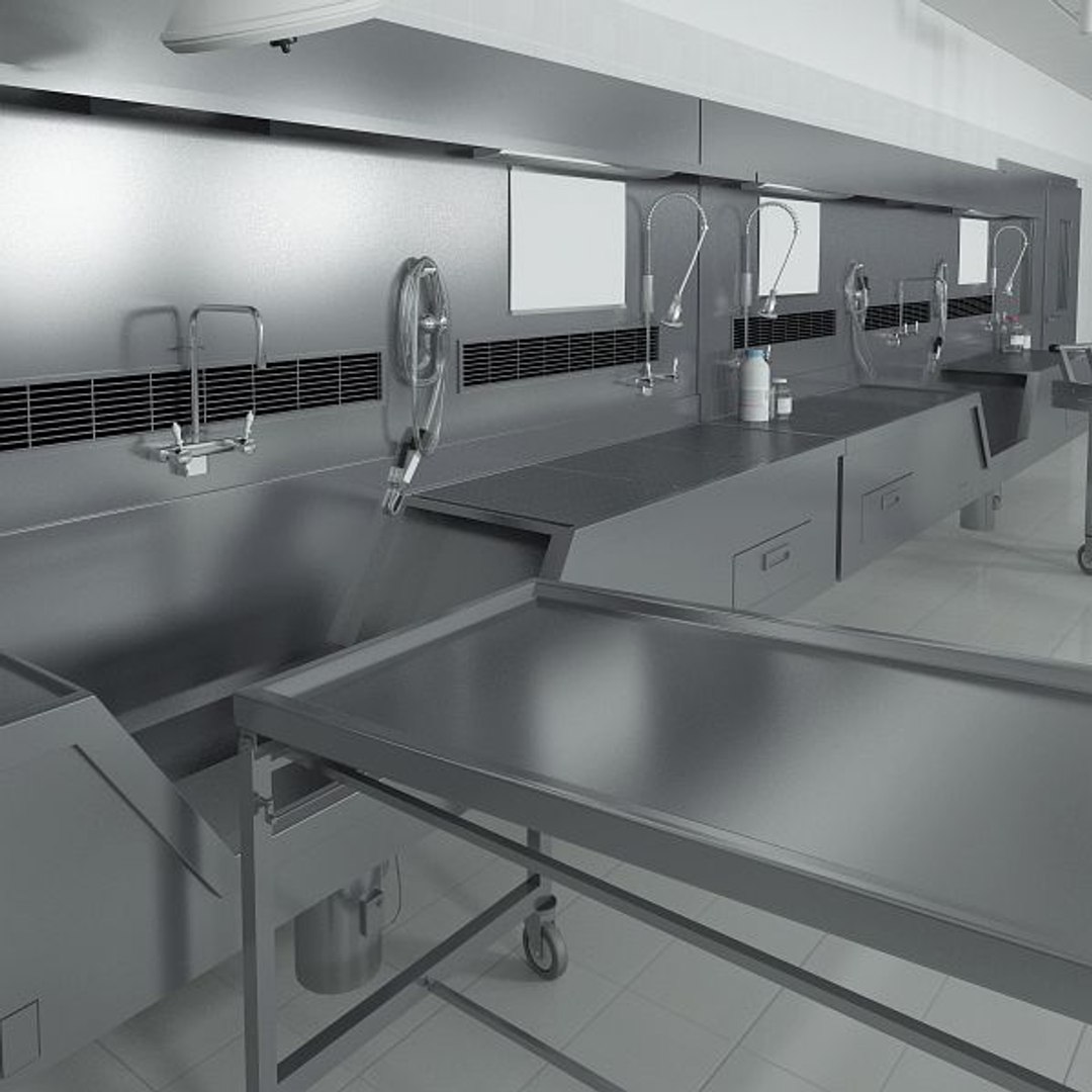 Anatomy Autopsy Laboratory Equipment 3d Model