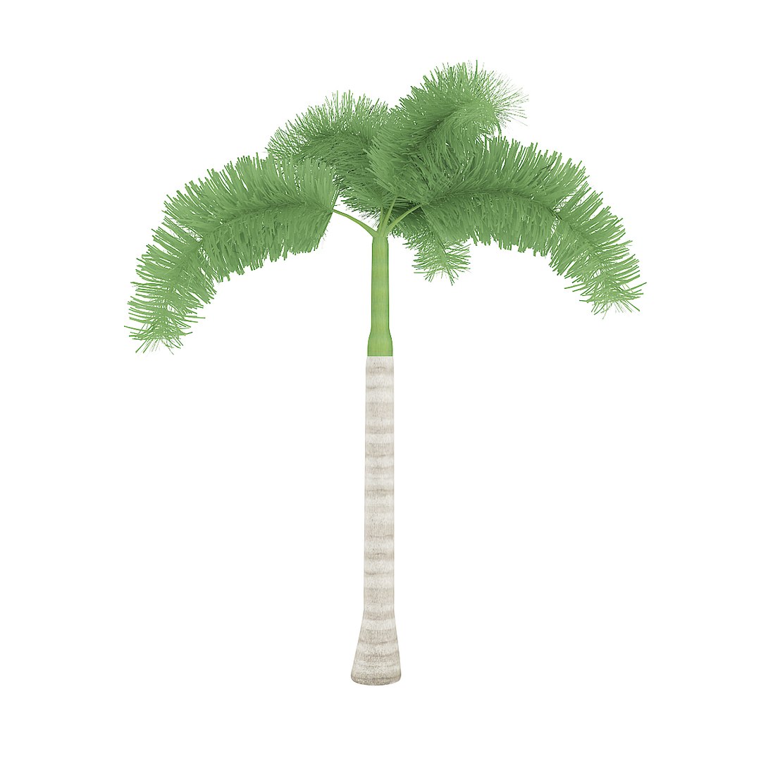 Foxtail Palm Tree 3D - TurboSquid 1205250