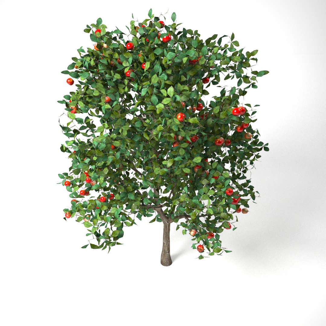 3D Apple Tree 3 7 Model - TurboSquid 1199232
