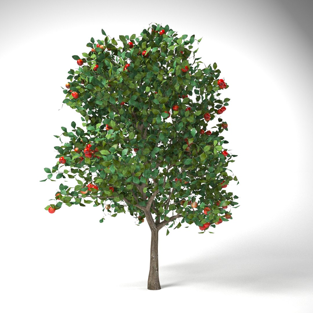 3D Apple Tree 3 7 Model - TurboSquid 1199232