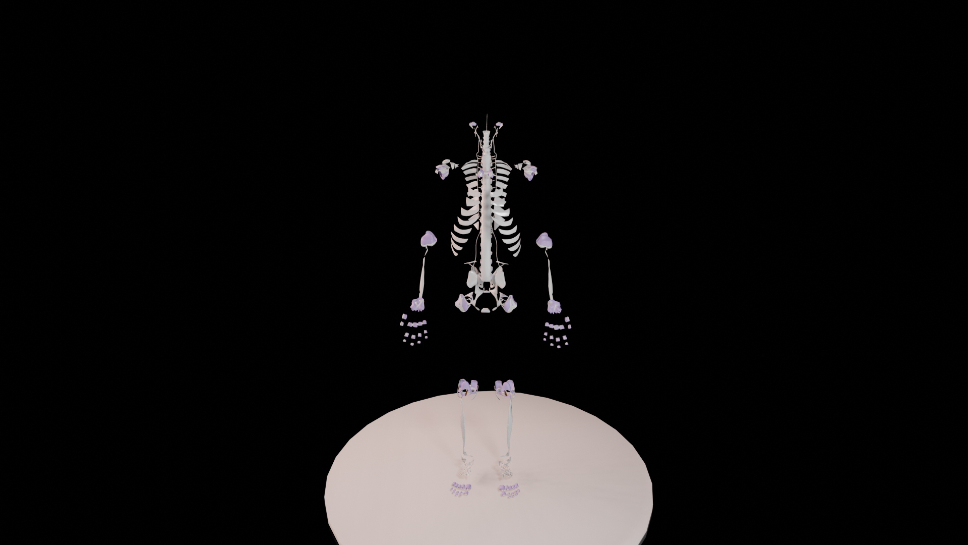Full Male Anatomy 3D Model - TurboSquid 2053495