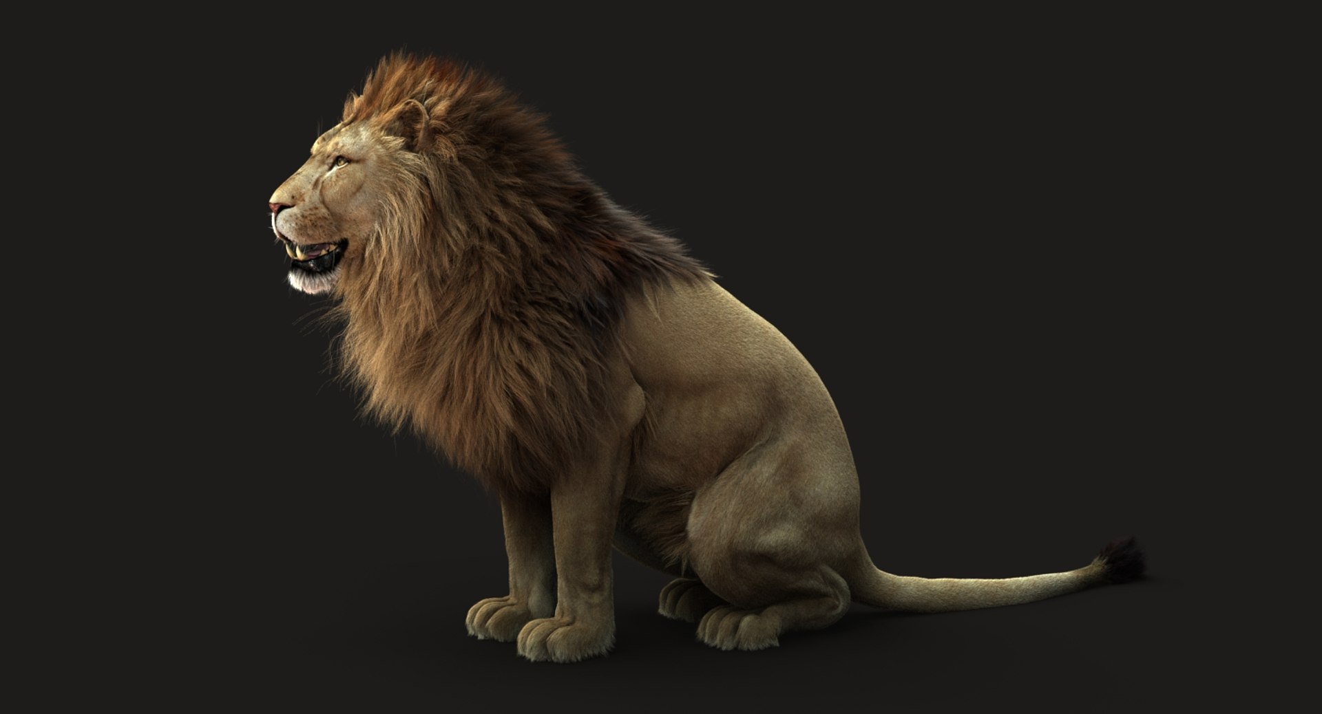 3D Lion Rigged Fur Model - TurboSquid 1302124