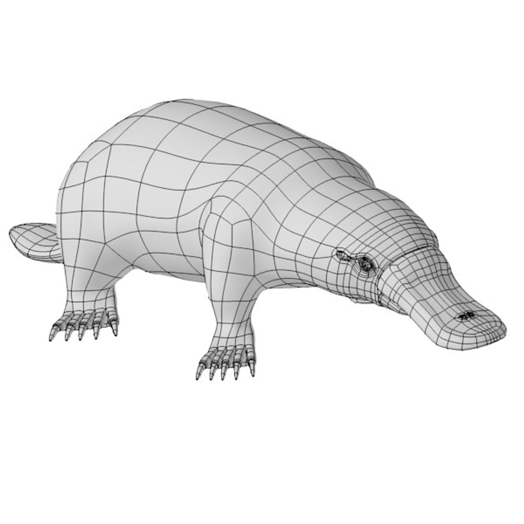 Ornithorhynchus Anatinus 3d Obj