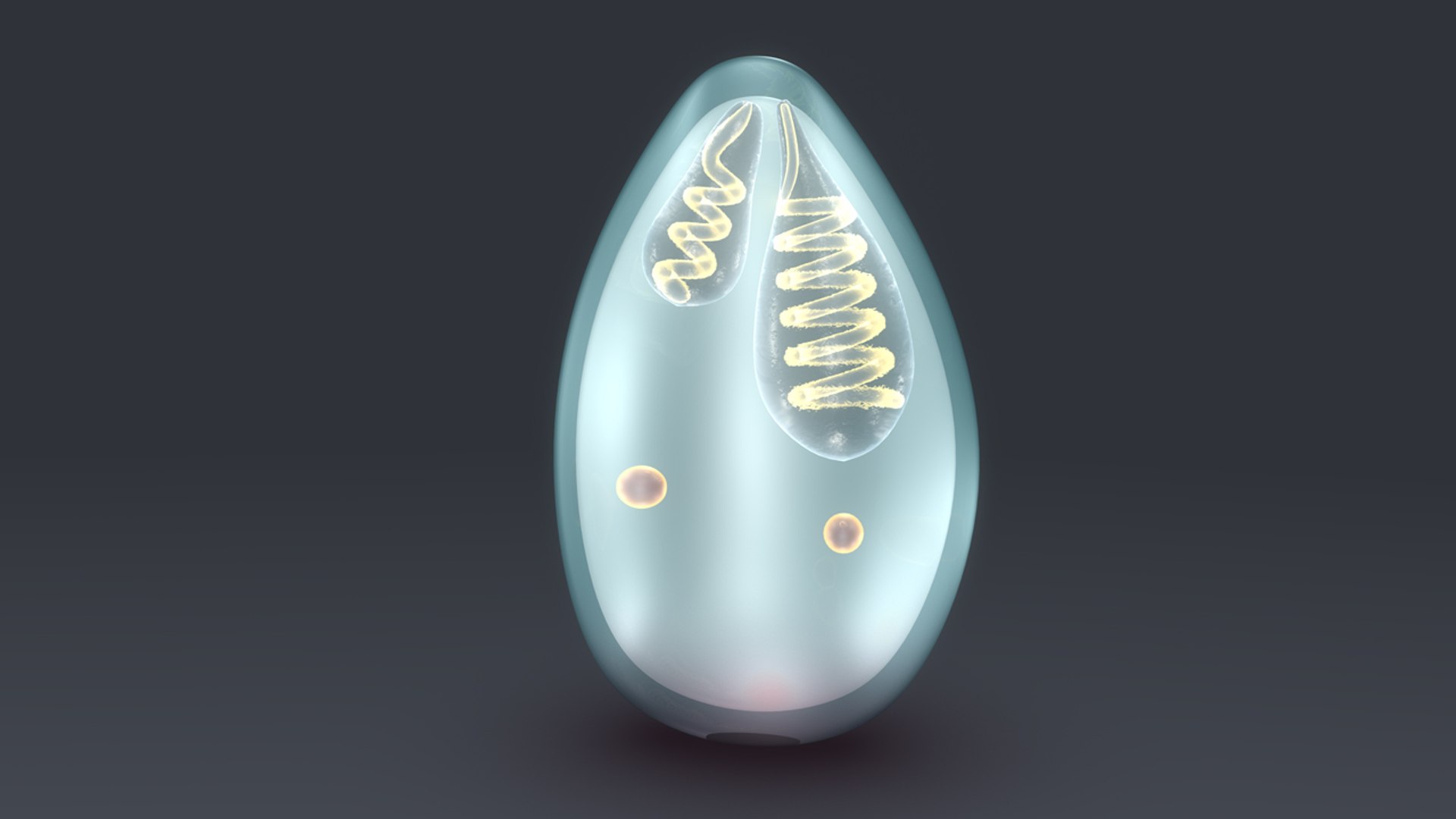 3d Myxobolus Myxozoa Parasites Model