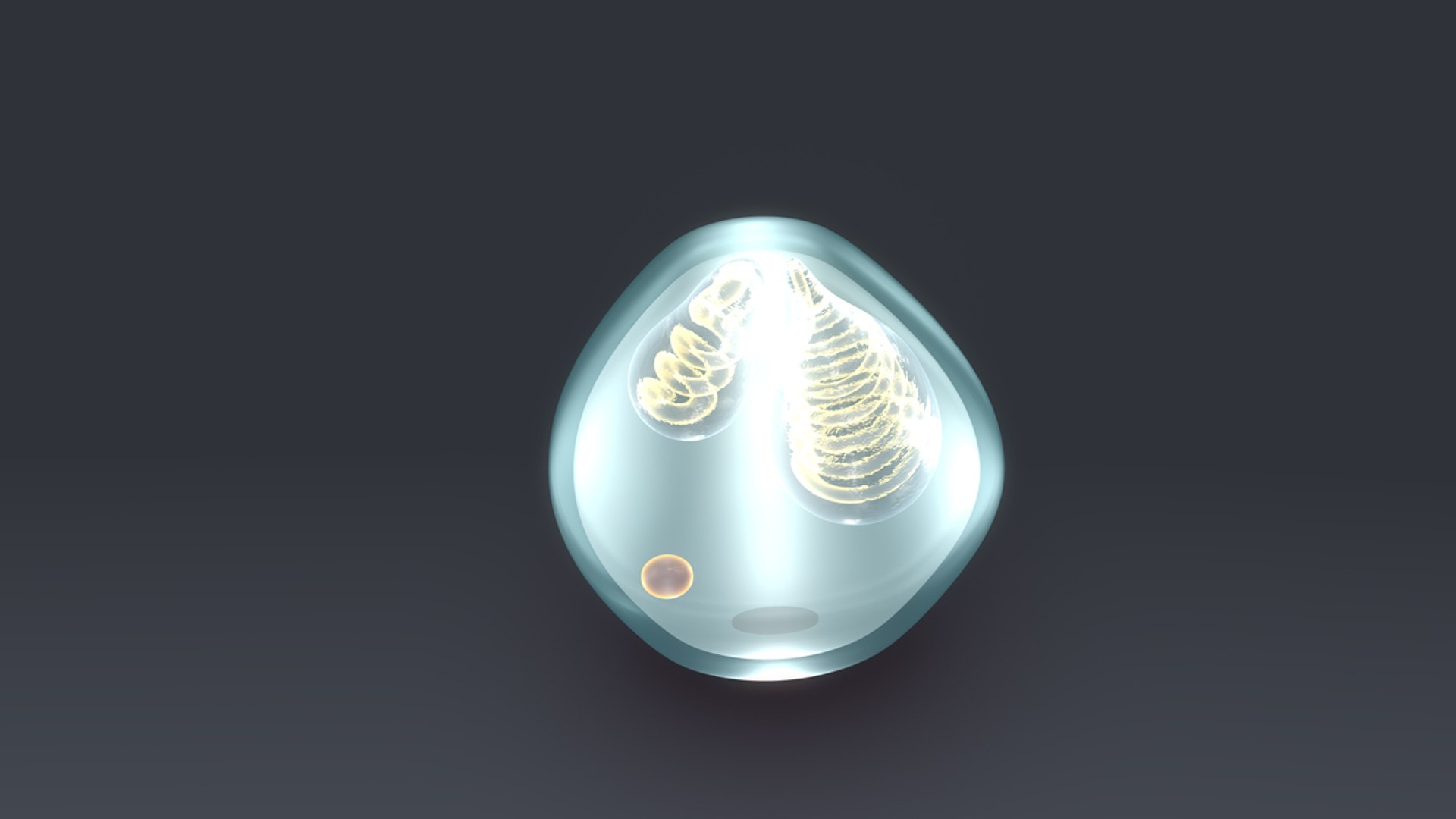 3d Myxobolus Myxozoa Parasites Model