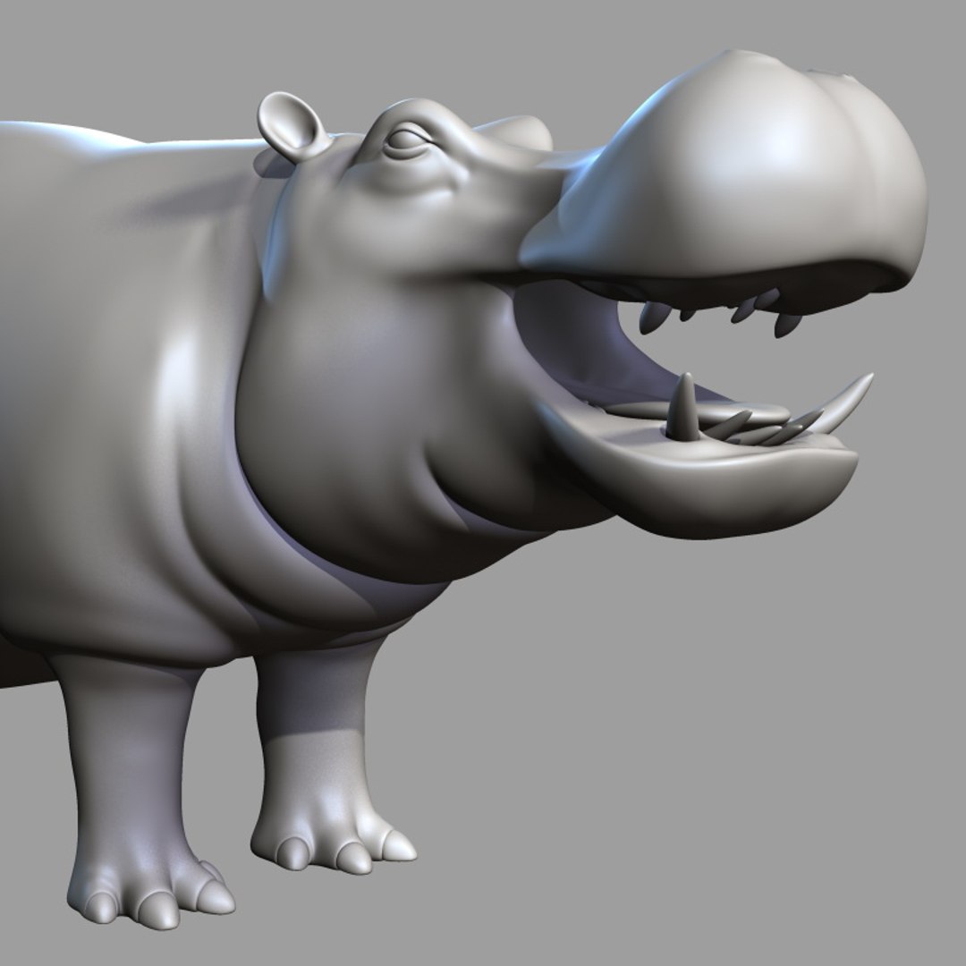 Hippopotamus Hippo 3d Model
