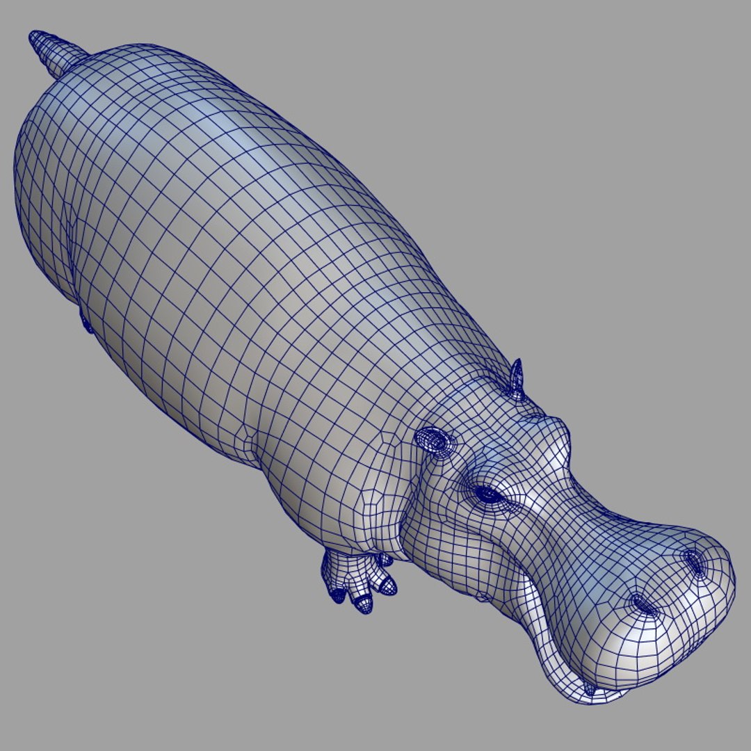 Hippopotamus Hippo 3d Model