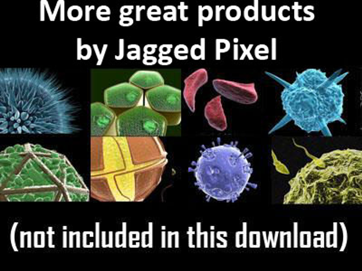 3d bacillus cell micro model