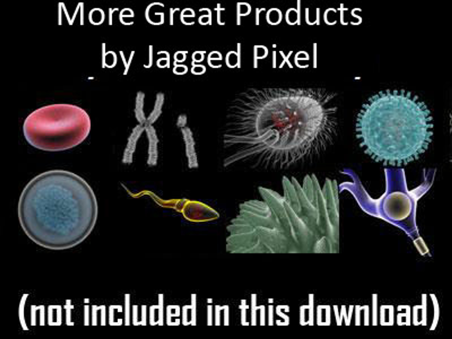 3d bacillus cell micro model