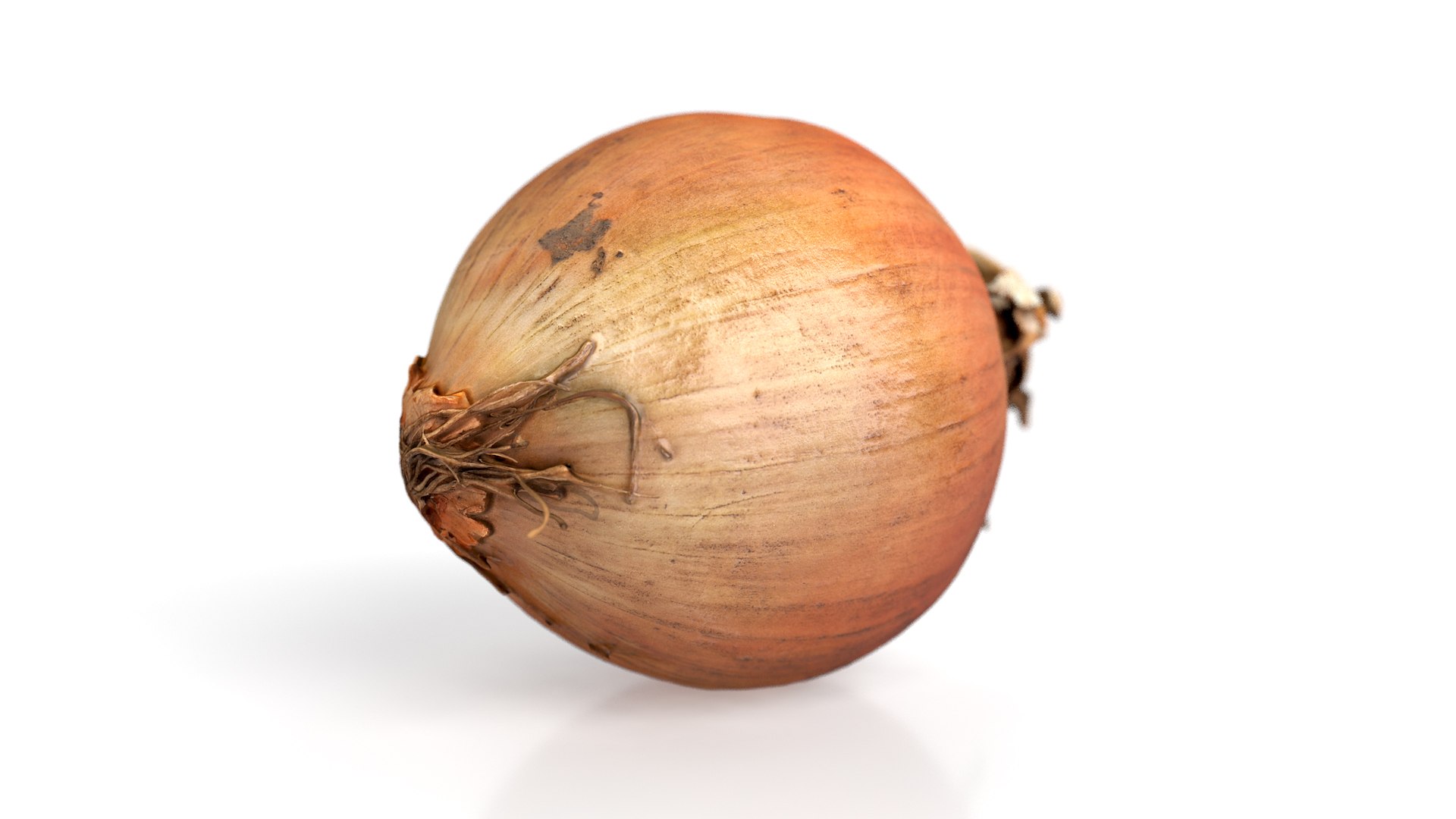 Scanned Onion 3D Model - TurboSquid 1476399