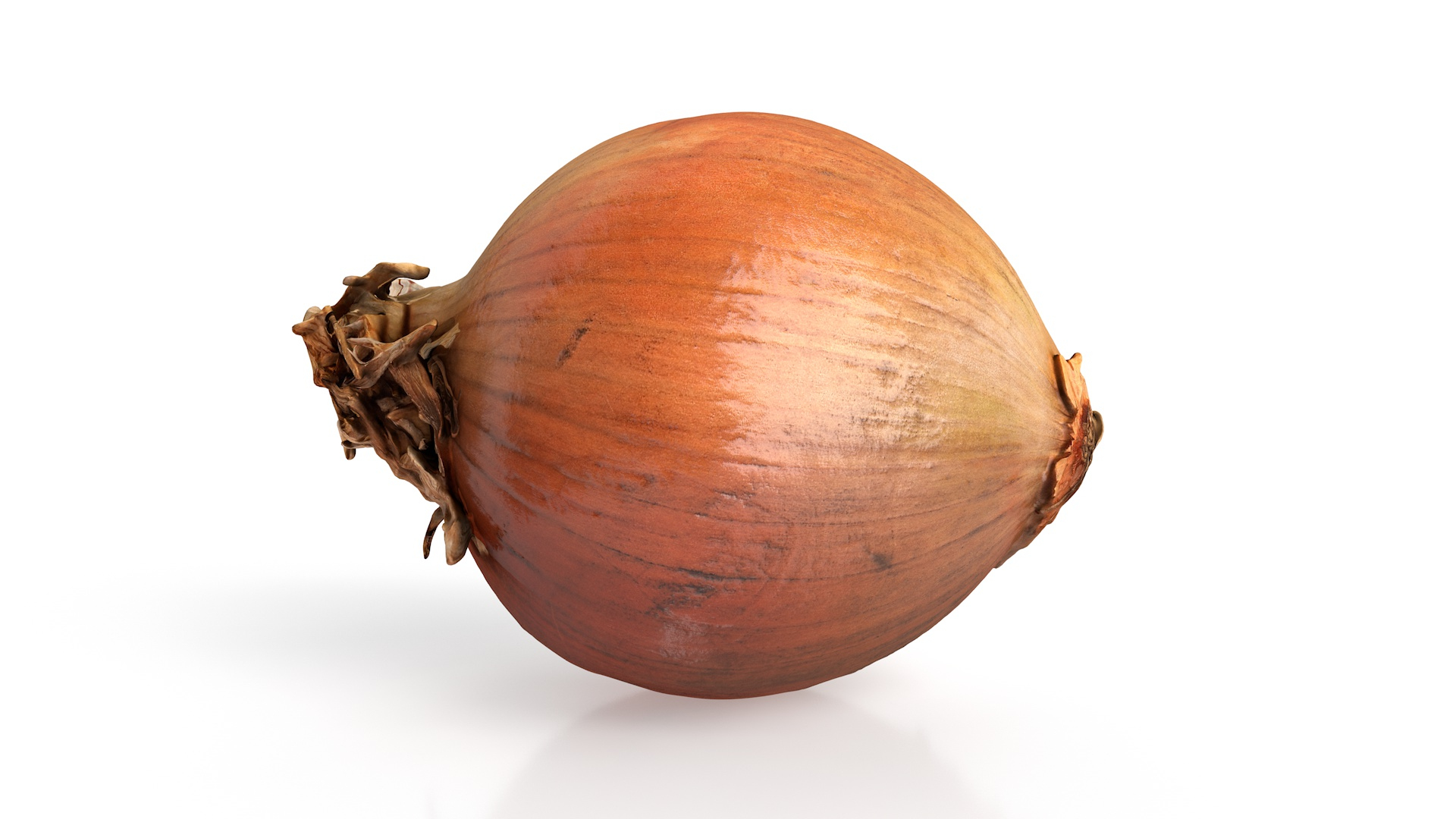 Scanned Onion 3D Model - TurboSquid 1476399