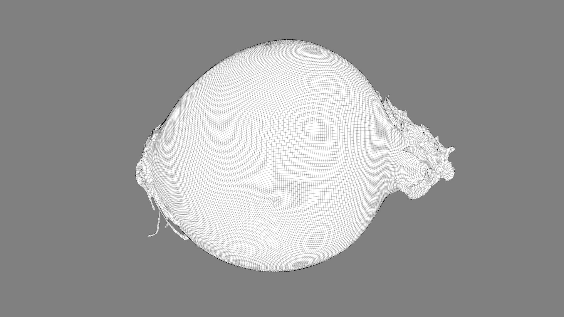 Scanned Onion 3D Model - TurboSquid 1476399