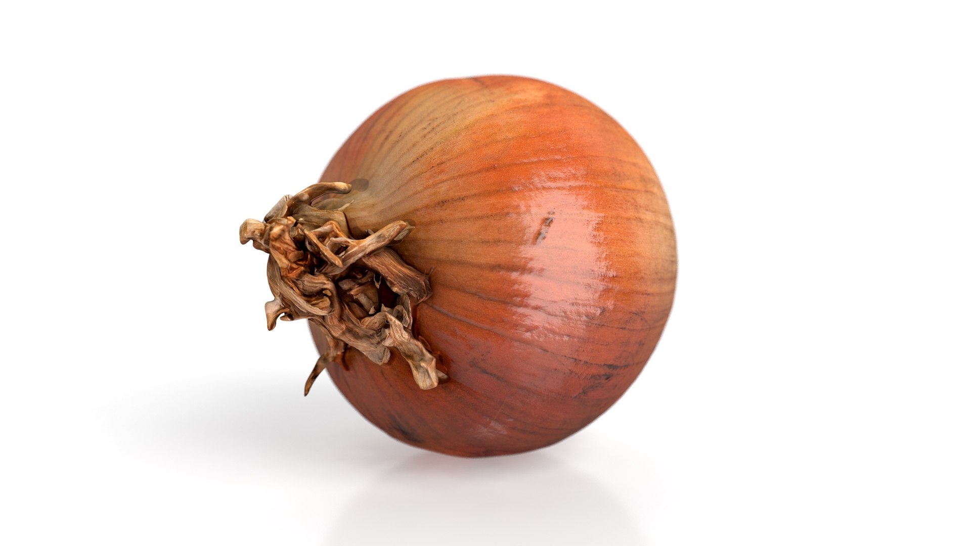 Scanned Onion 3D Model - TurboSquid 1476399