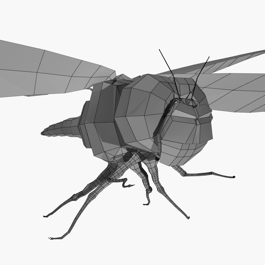 Max Dragonfly Flying