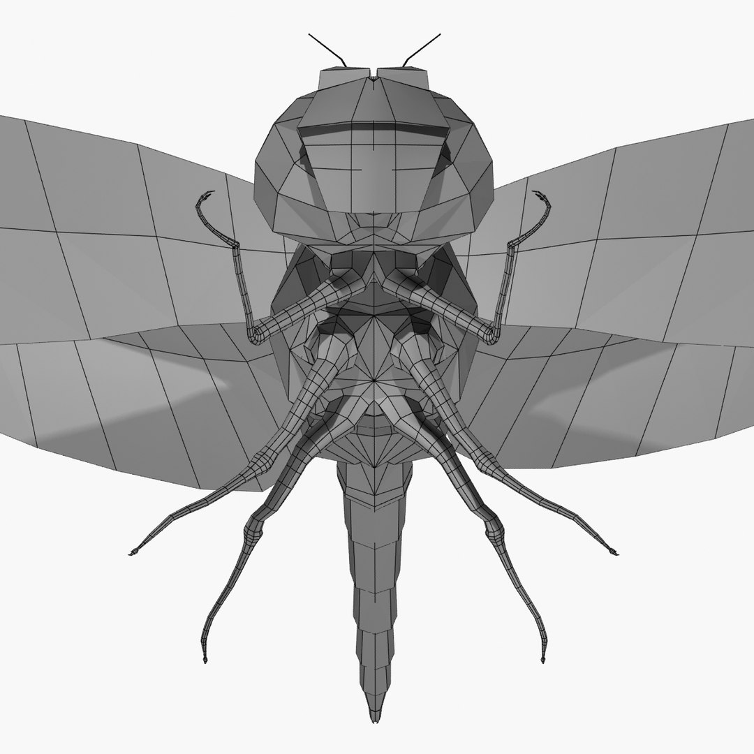 Max Dragonfly Flying