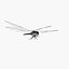 Max Dragonfly Flying