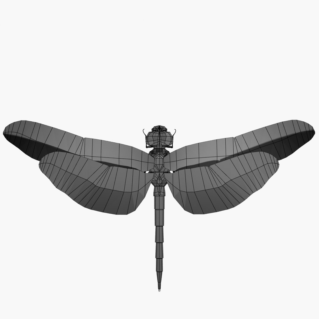 Max Dragonfly Flying