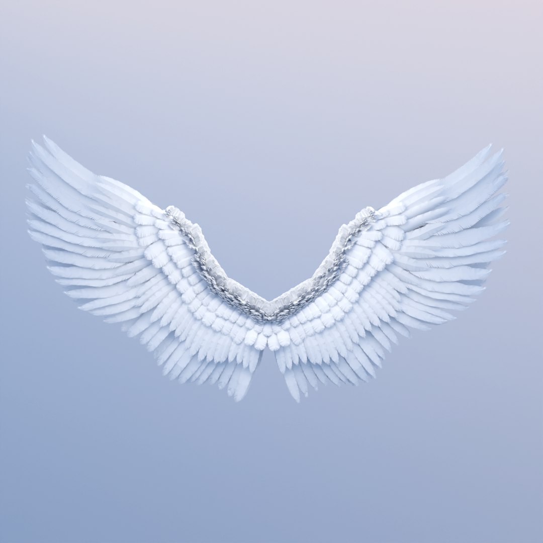 Angel Feather Wings Rigged Stylized 3D Model FBX Blender Textured 3D ...