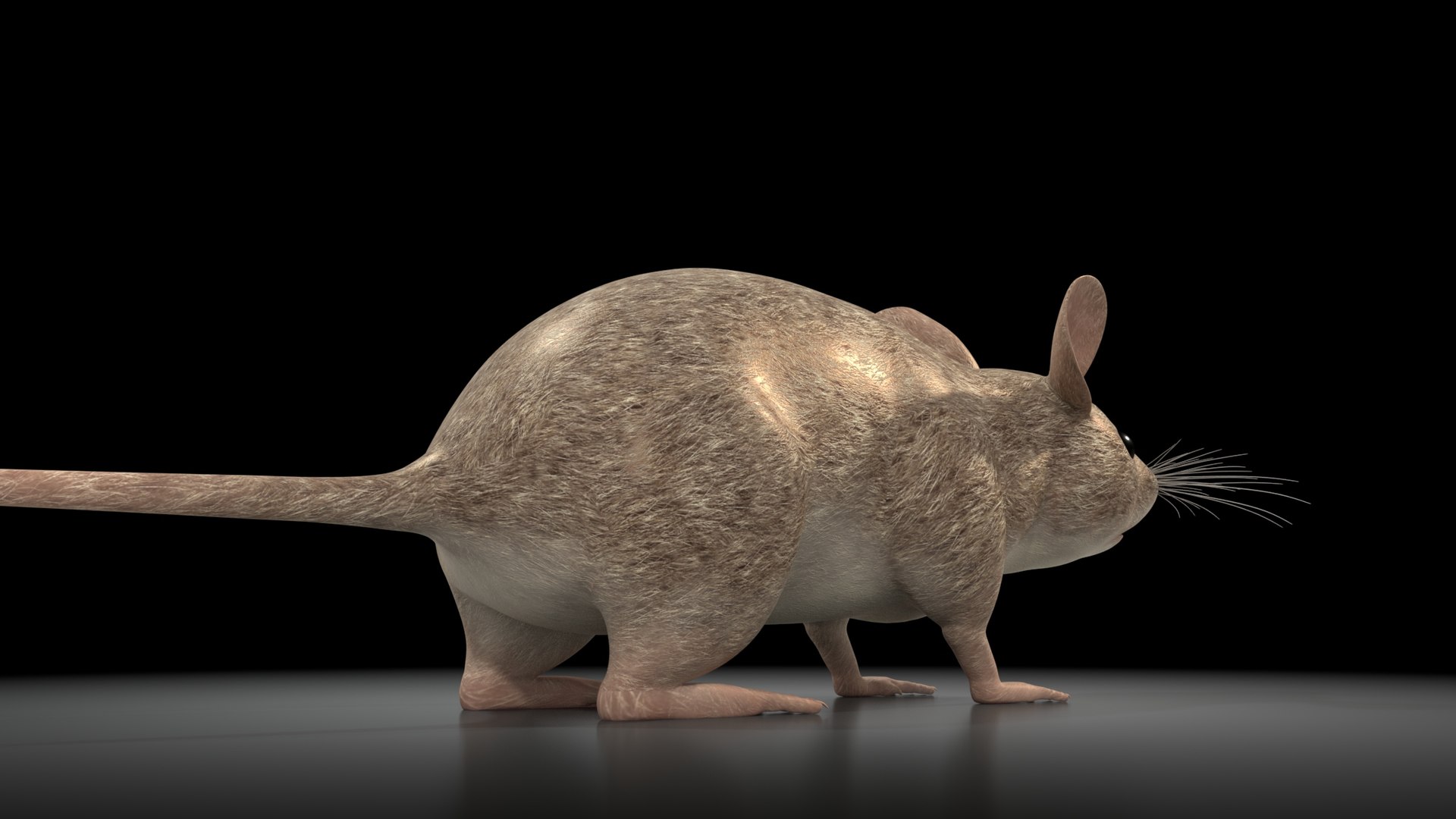 3D Mouse - TurboSquid 2258839