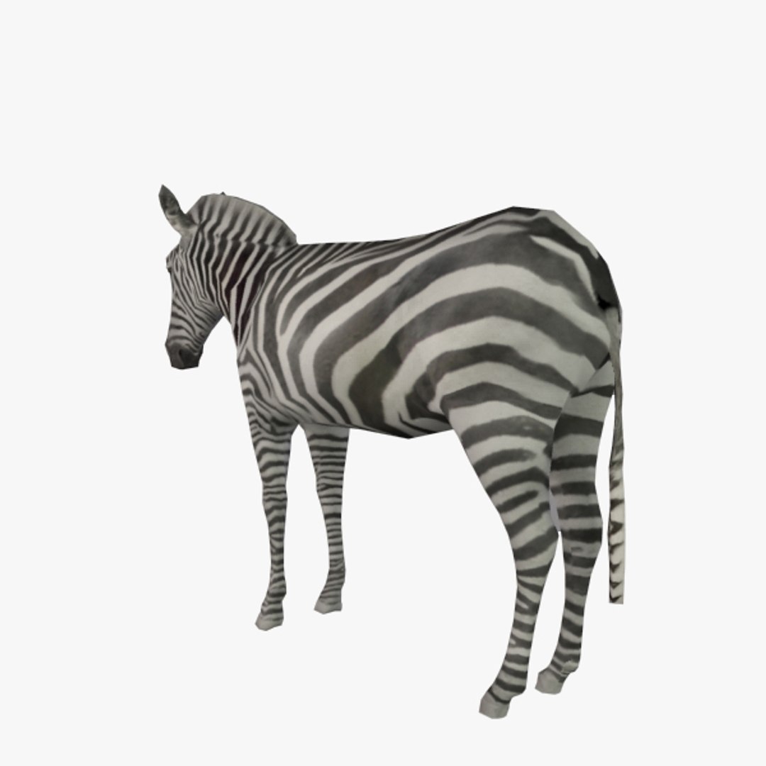 Max Zebra