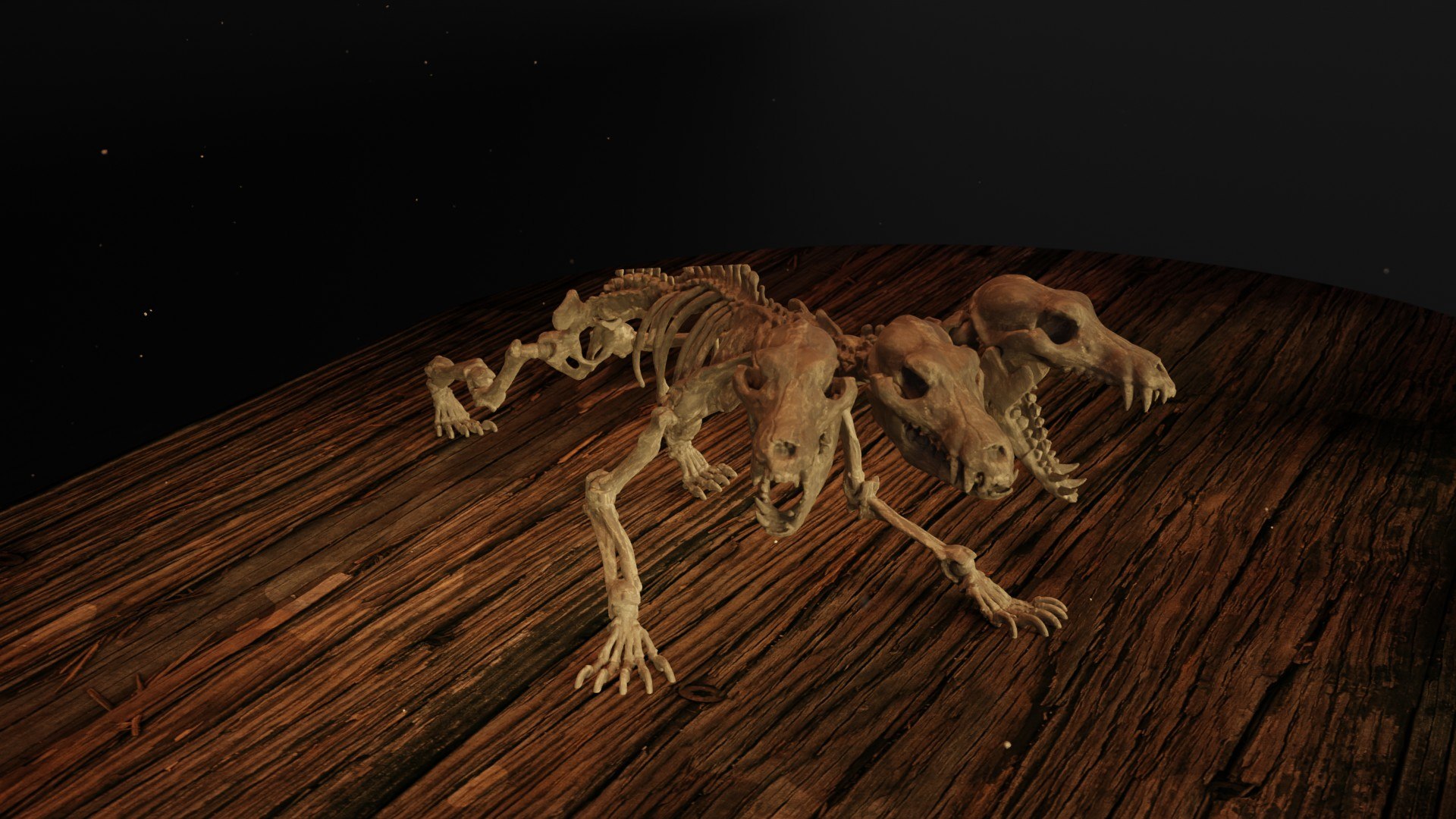 3D Cerberus Skeleton Model - TurboSquid 1835999