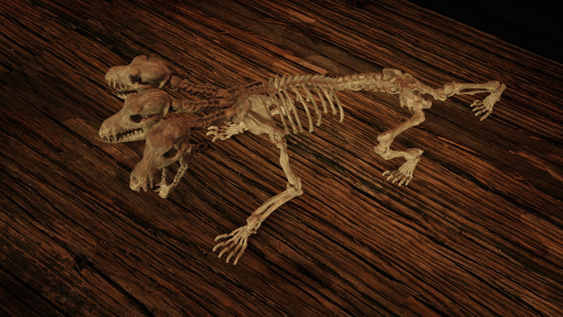 3D Cerberus Skeleton Model - TurboSquid 1835999