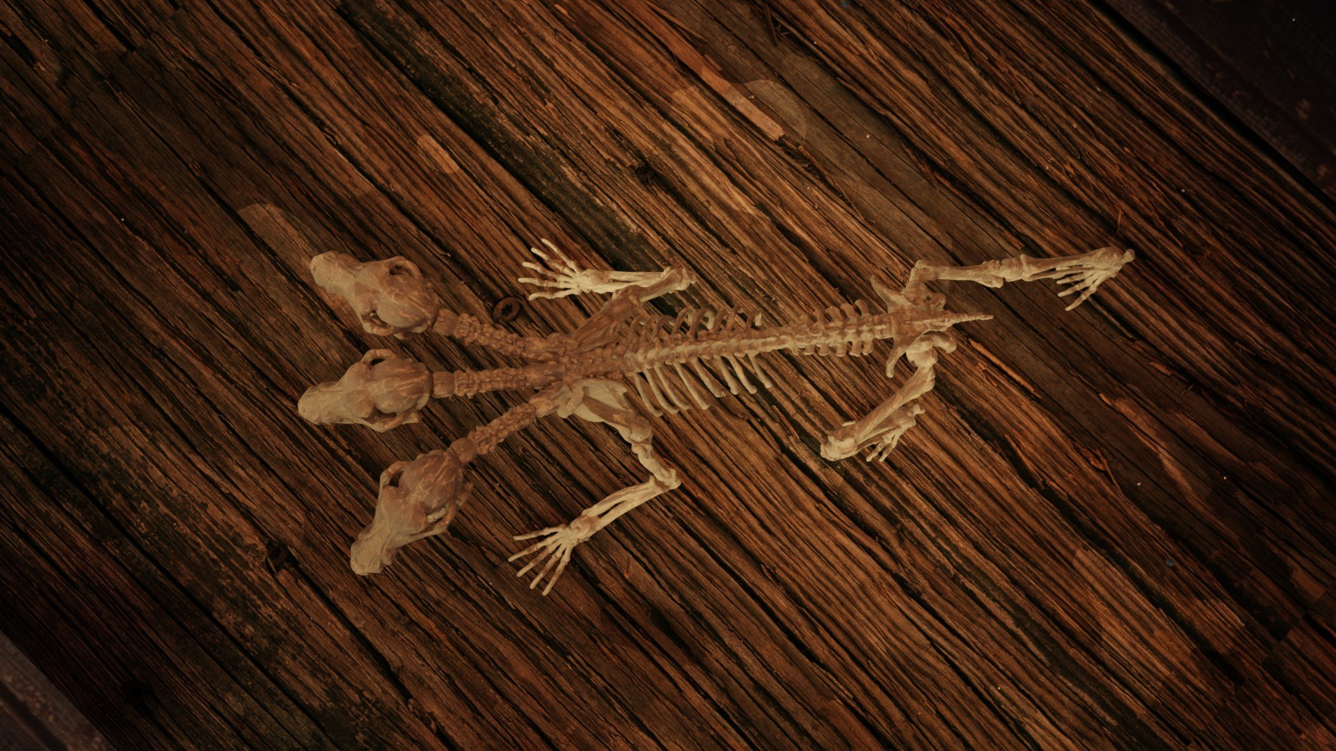 3D Cerberus Skeleton Model - TurboSquid 1835999