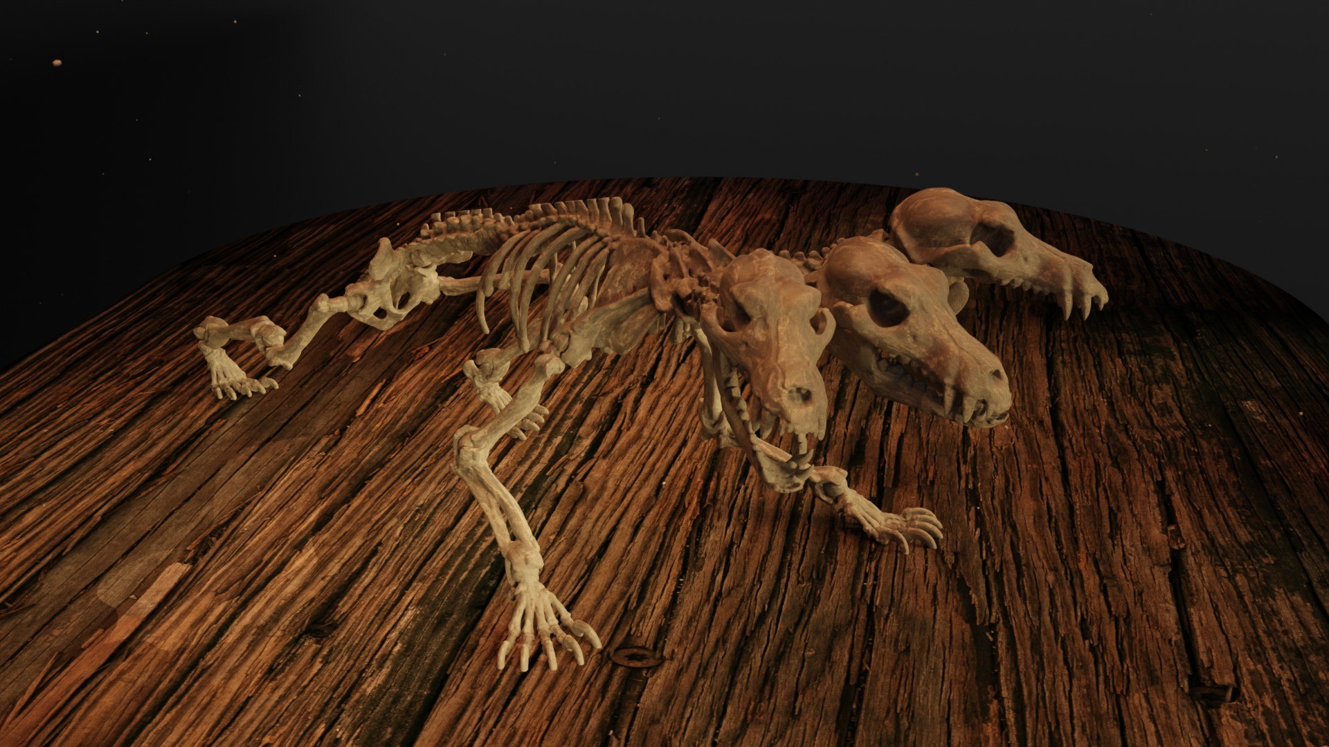 3D Cerberus Skeleton Model - TurboSquid 1835999