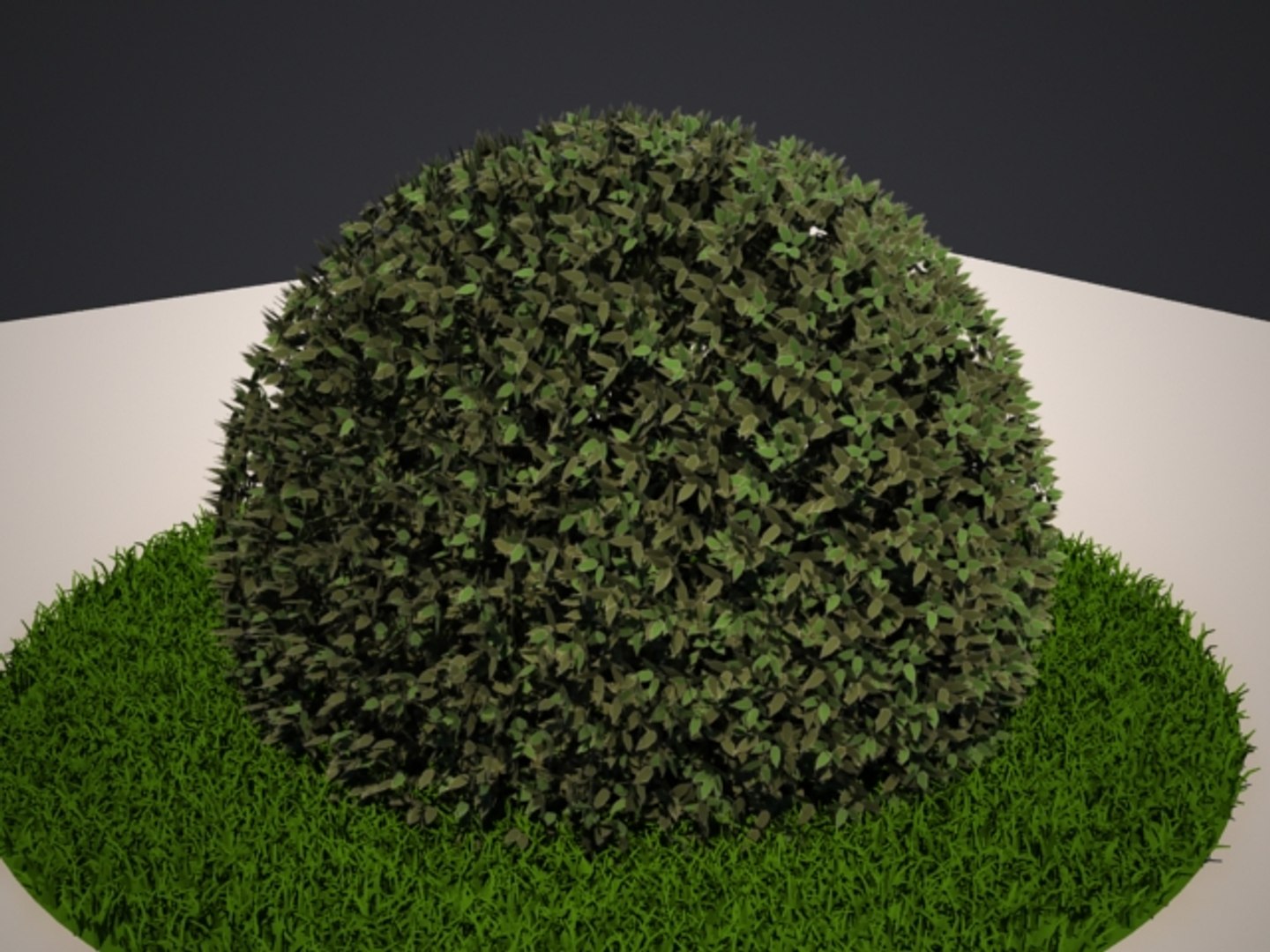 3d Bush Model