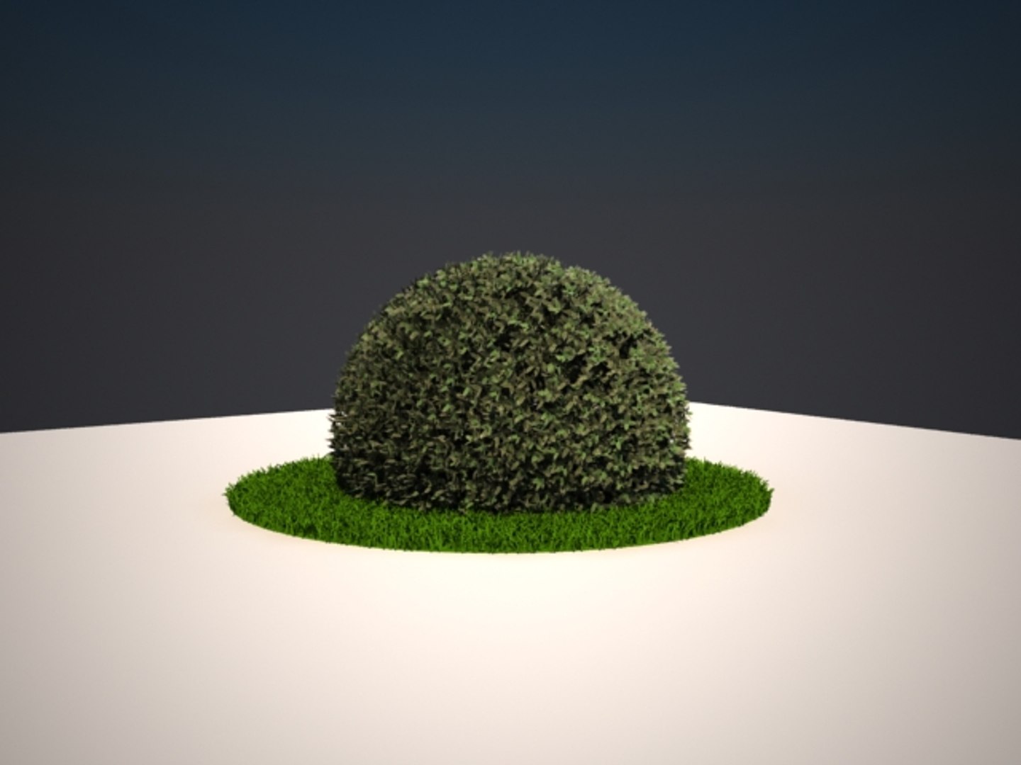 3d Bush Model