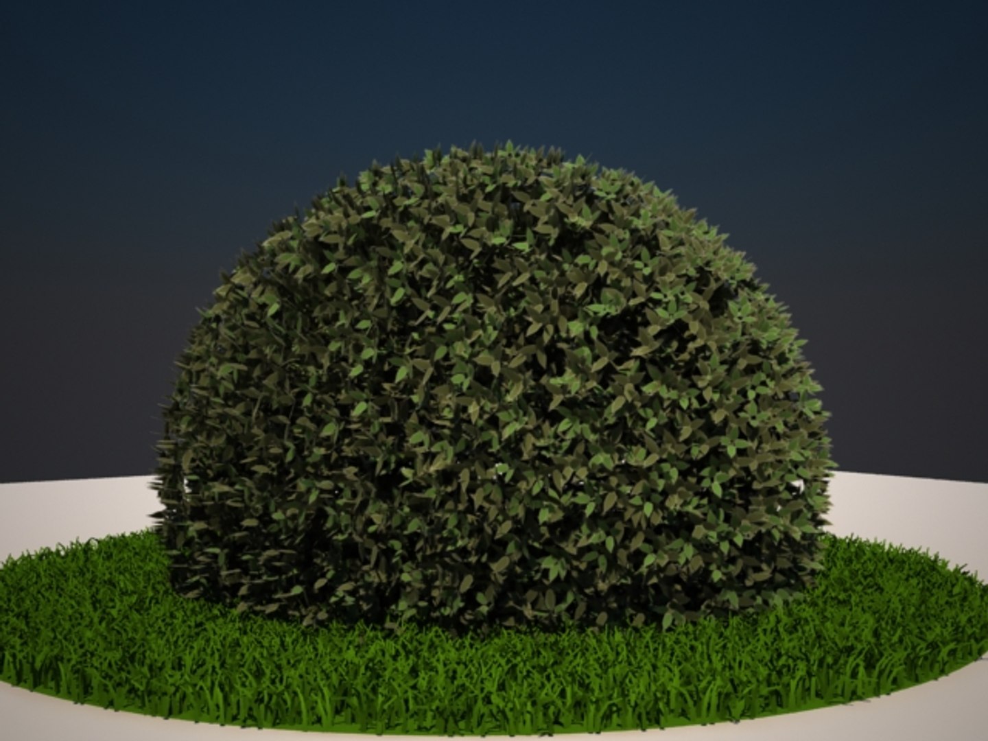 3d Bush Model