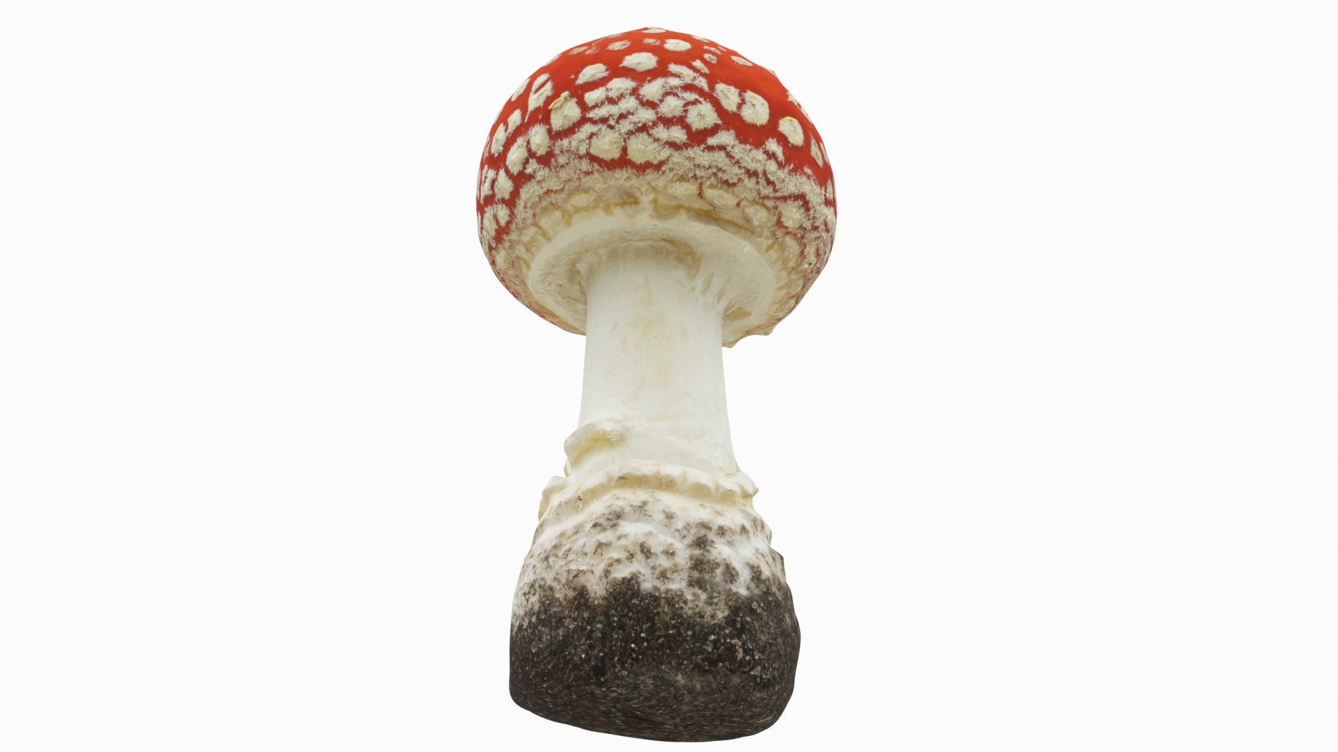 Toadstool 4 Model - TurboSquid 1805359