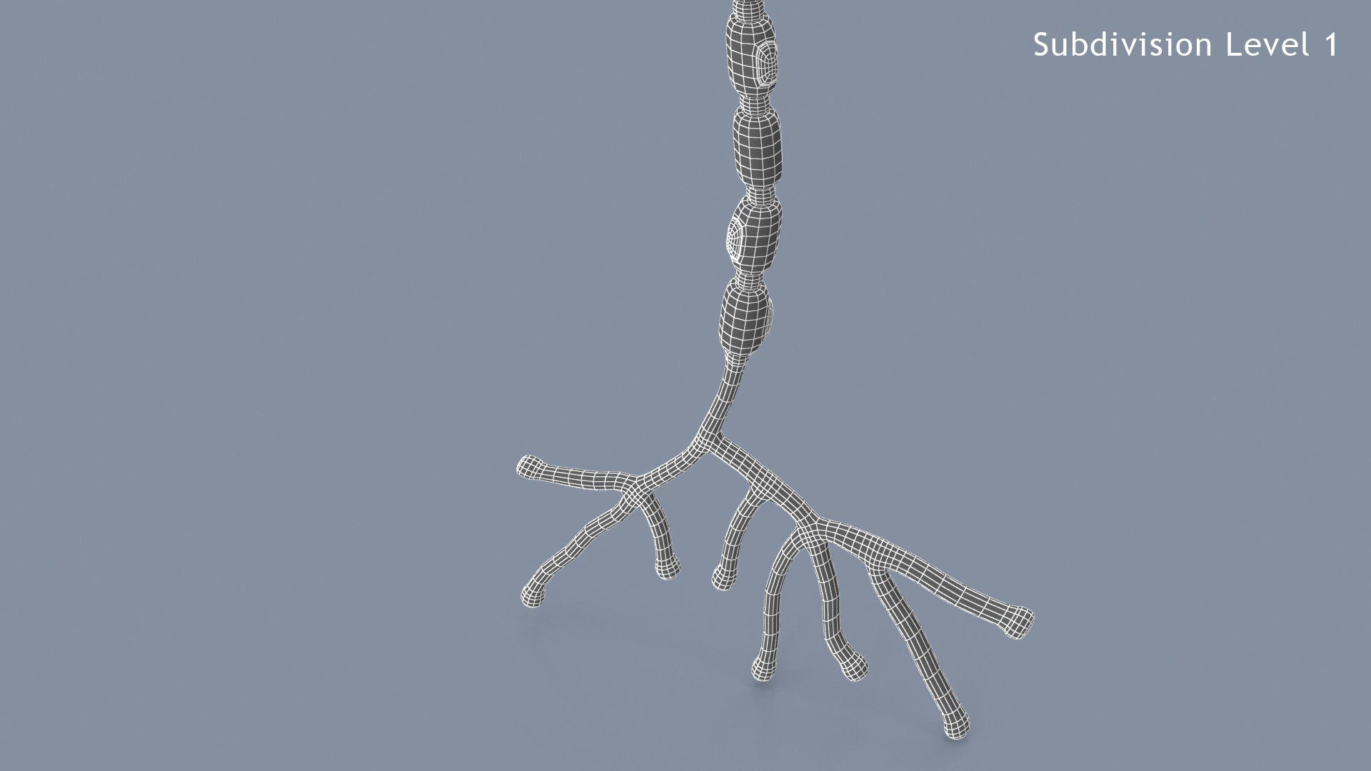 3D Neuron Anatomy - TurboSquid 2001382