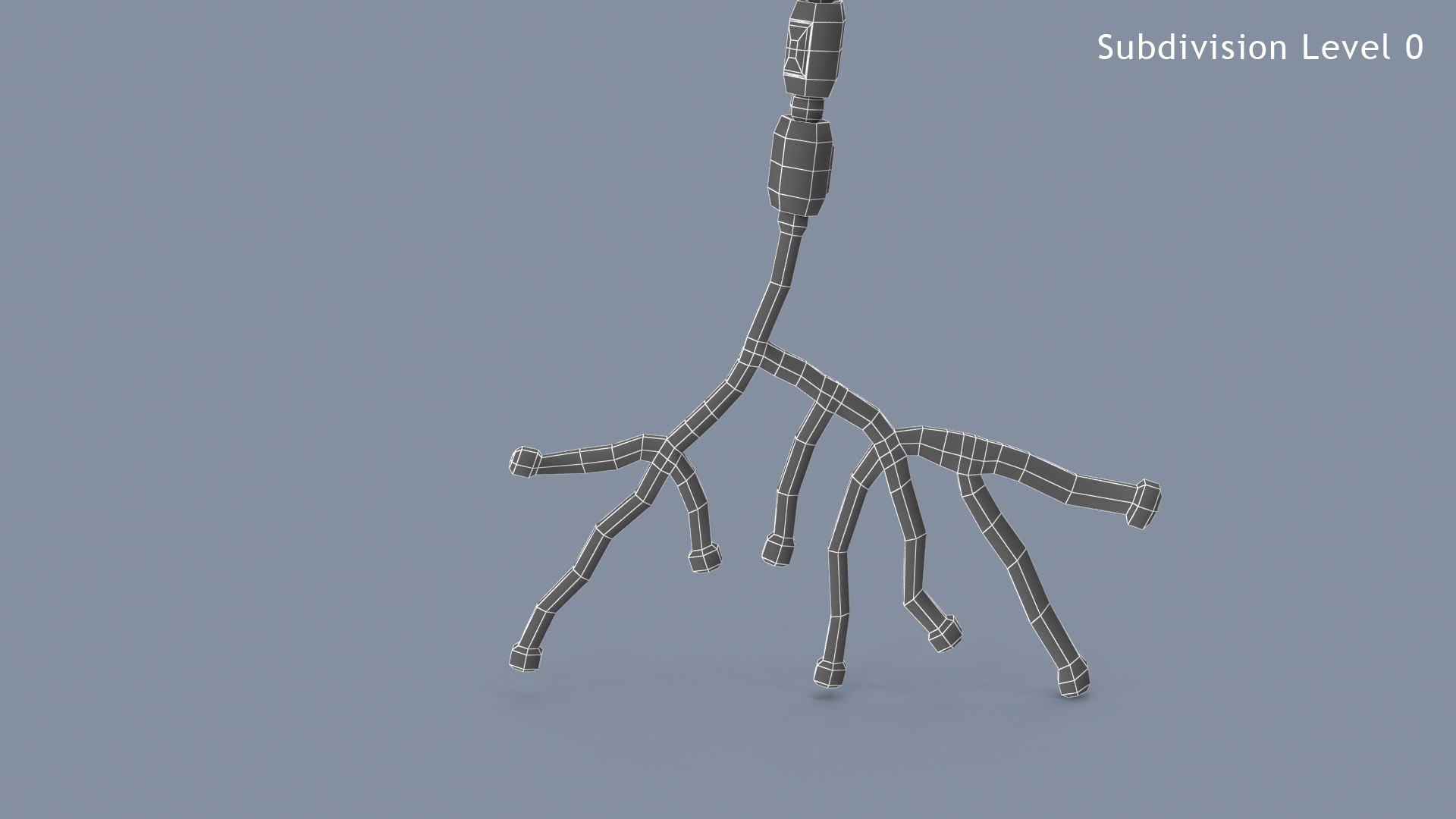 3D Neuron Anatomy - TurboSquid 2001382