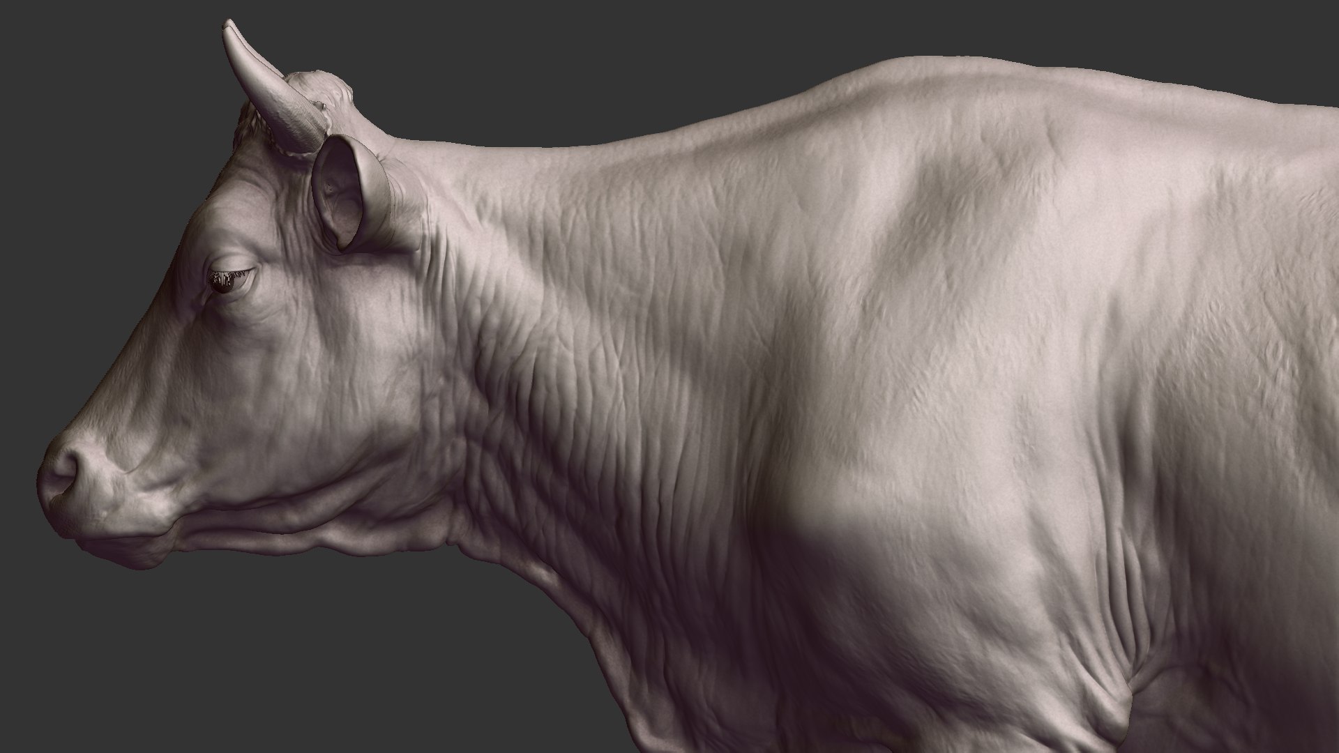 3D Cow Hi-poly - TurboSquid 1820767