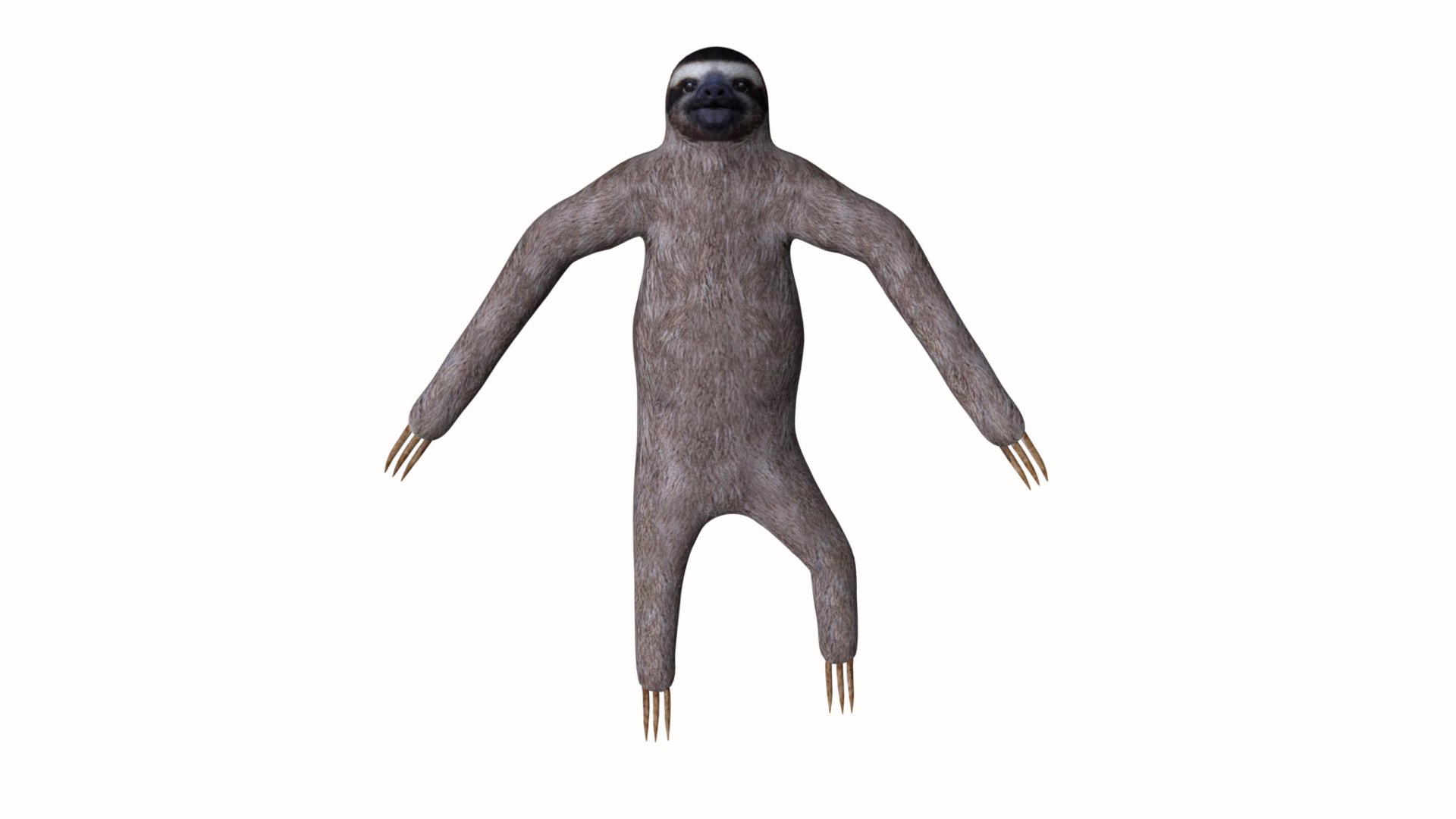 Sloth 3D model - TurboSquid 1768375