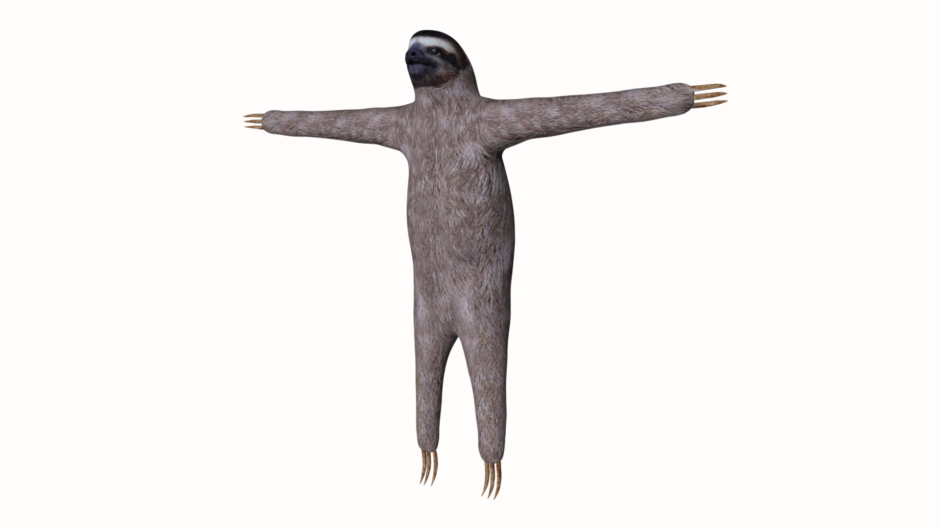 Sloth 3D model - TurboSquid 1768375