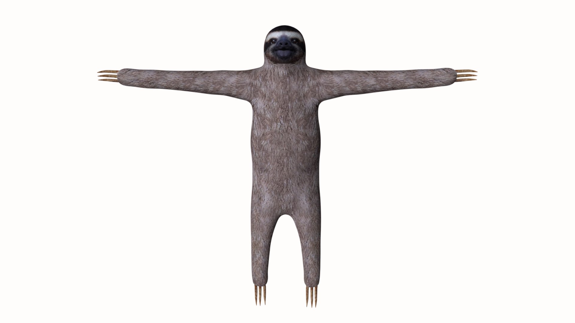 Sloth 3D model - TurboSquid 1768375