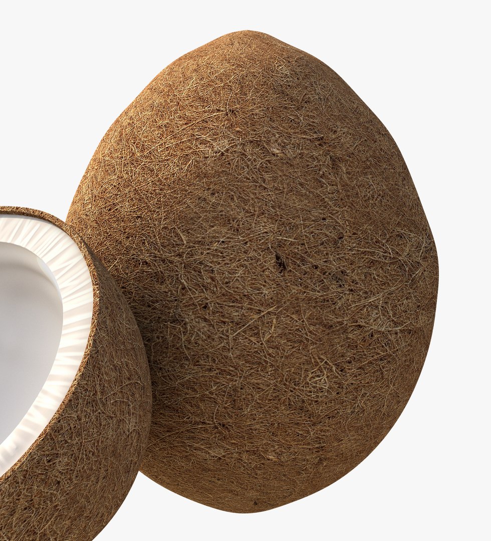 3D Coconut - TurboSquid 1745485