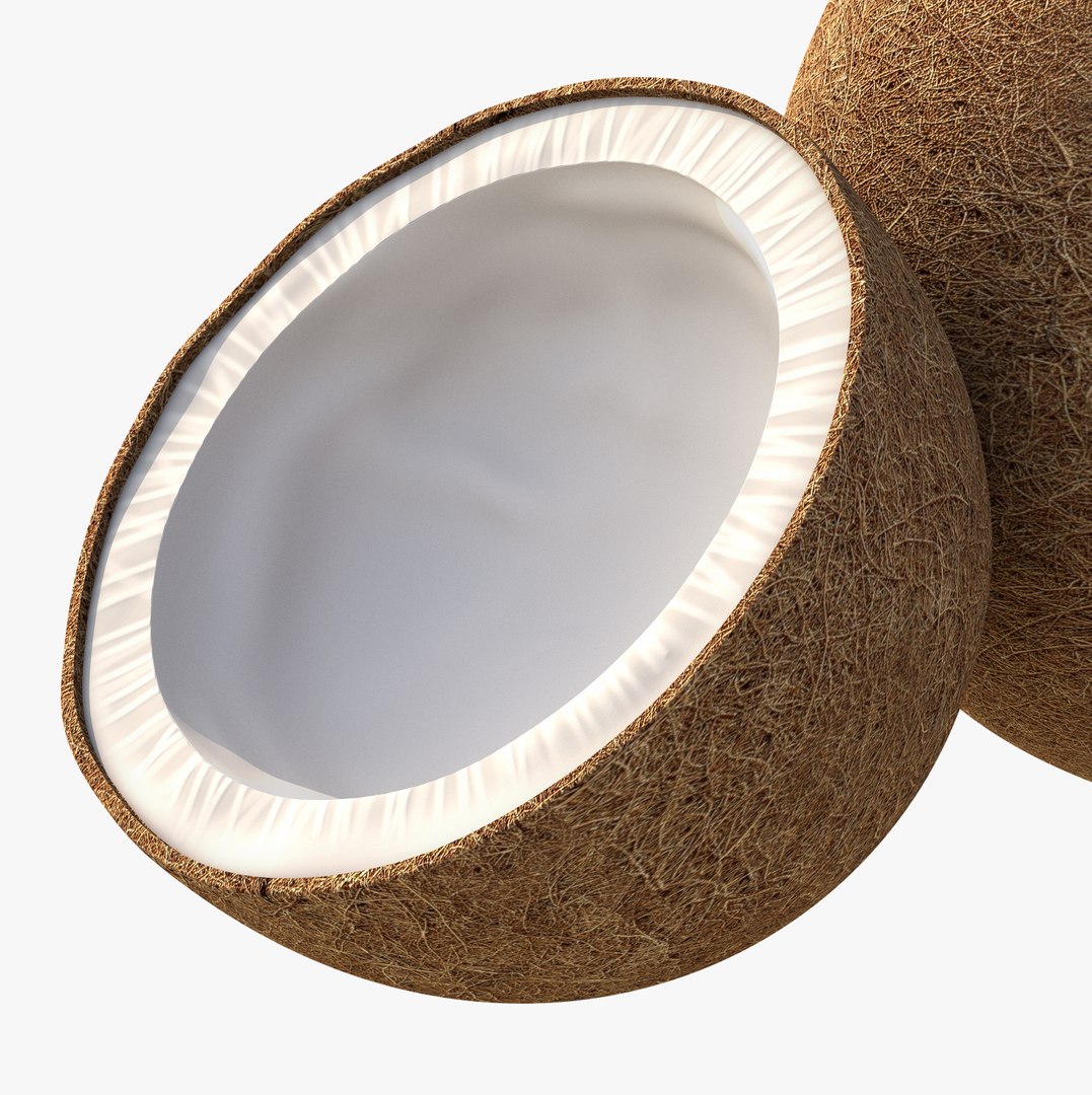 3D Coconut - TurboSquid 1745485